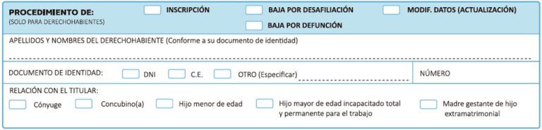 FORMULARIO 1010 ESSALUD 】 Llenado y Descarga Gratis